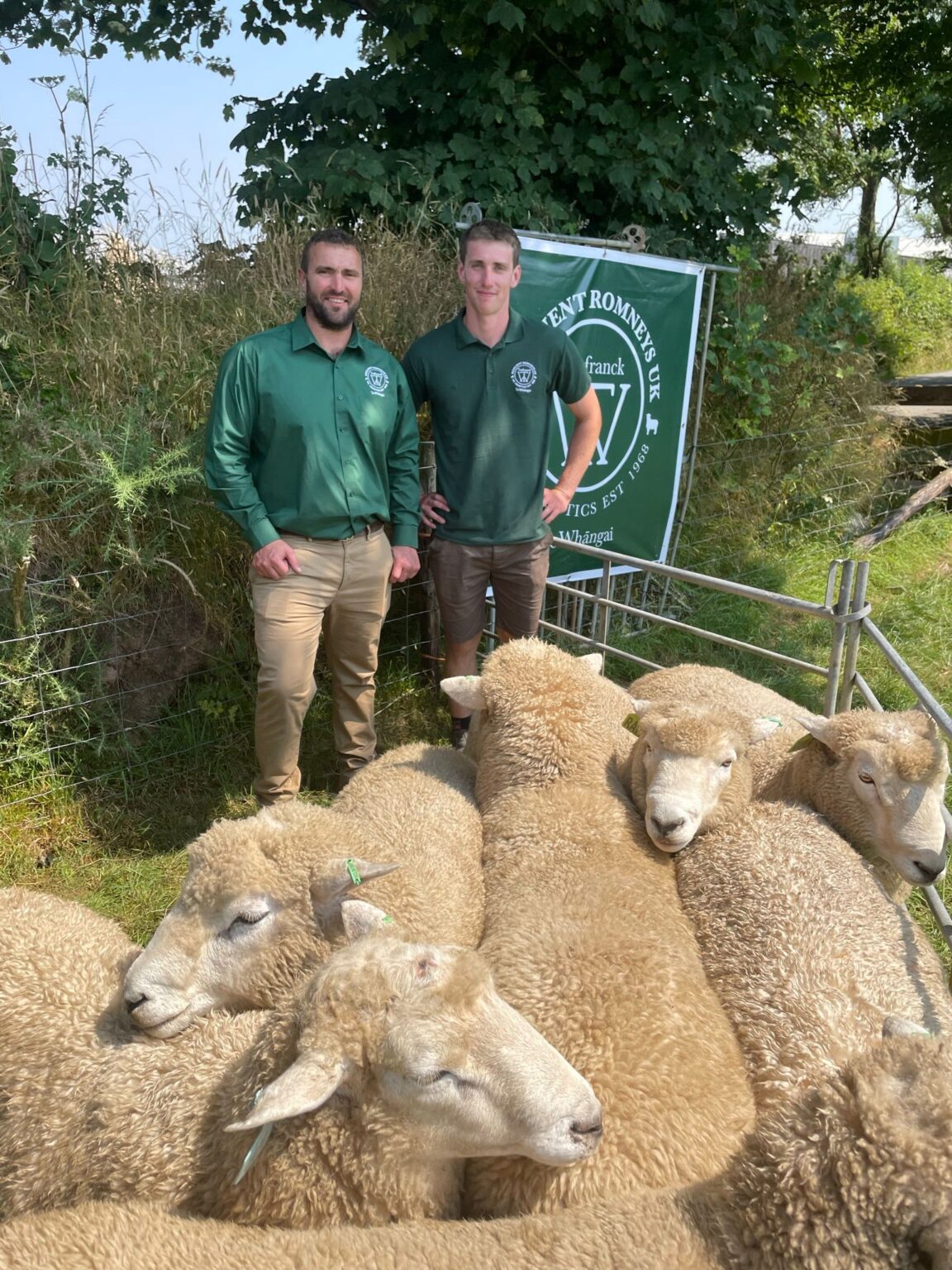 Home Page - Resilient Romneys UK - Resilient Romneys UK